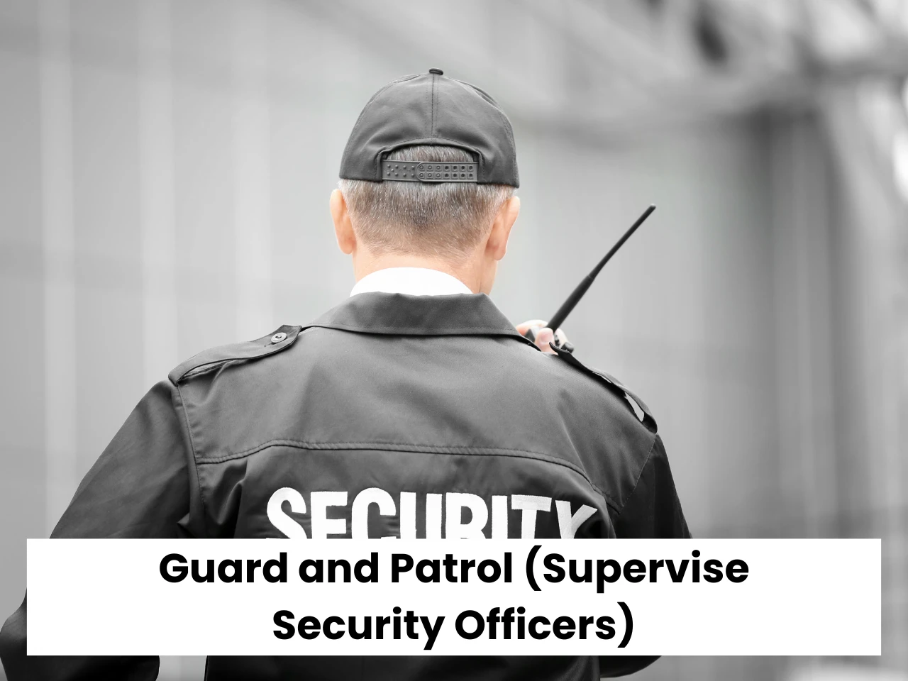 PWM-Security: Guard and Patrol (Supervise Security Officers)